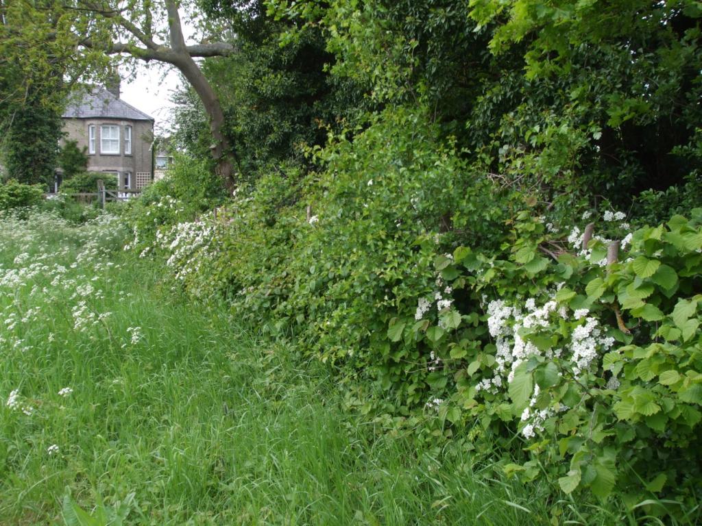 The Meadows and Boundaries